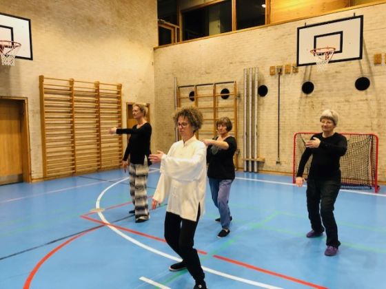 Taiji - meditation i bevægelse | Frivilligcenter Rudersdal